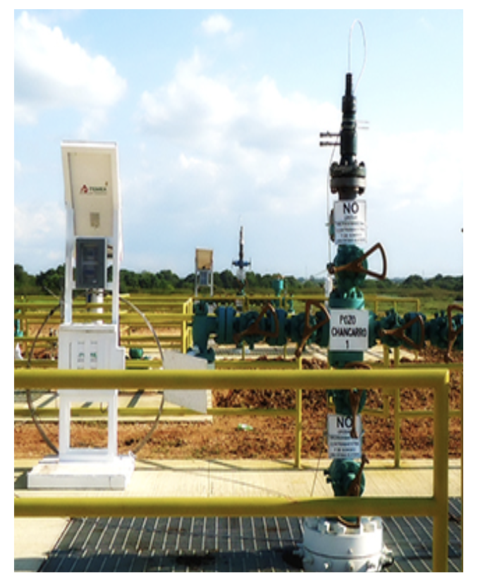 Portfolio | Nucleo Sepec